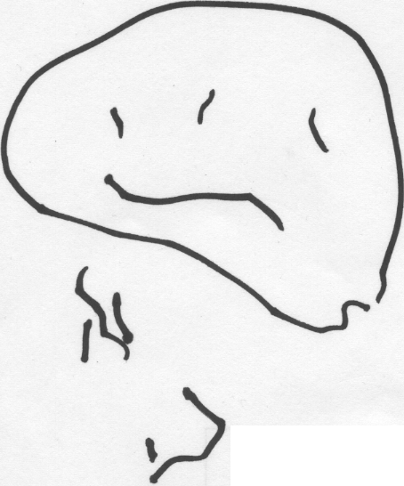 Hoe leid je nieuwe medewerkers op? - Eluxis